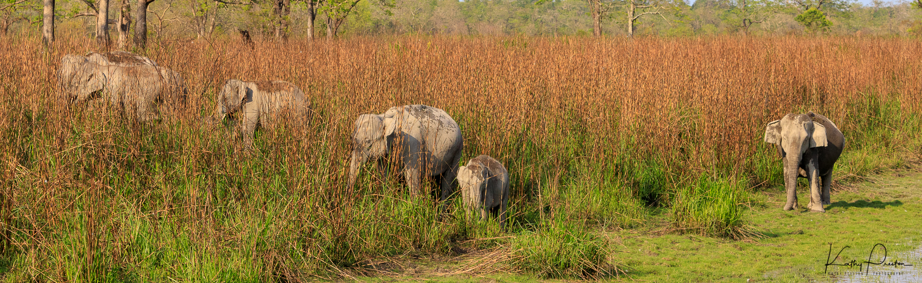 Delhi & the Wildlife of India – My Travels in Pictures
